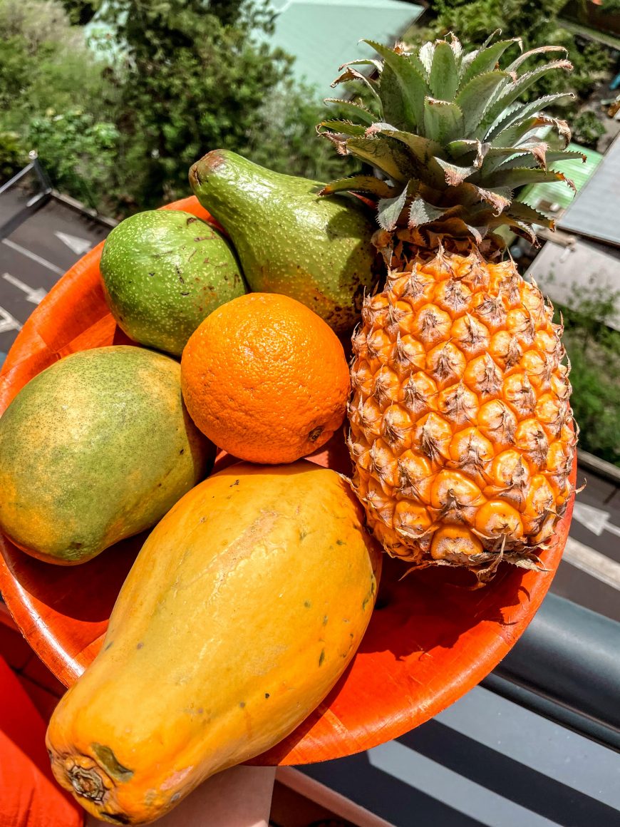 Que faire en martinique ? 20 idées coups de coeur - Un Monde Deux Voyageurs